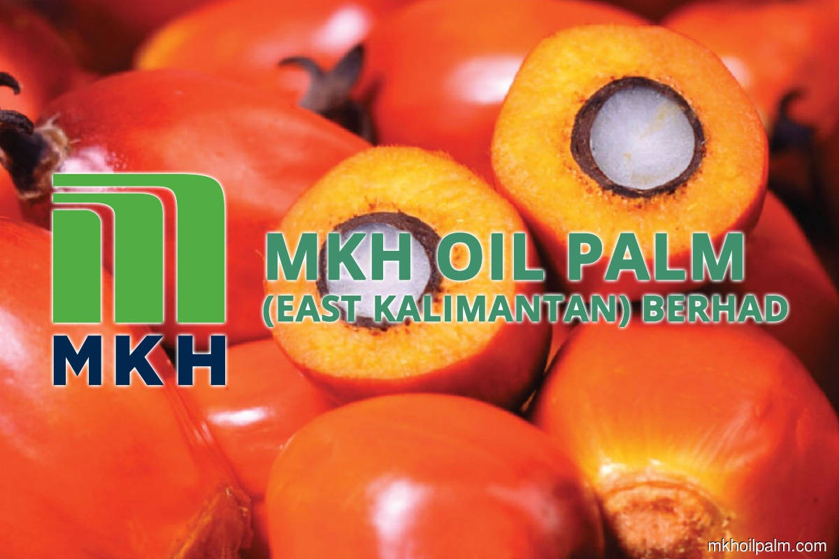 MKH Oil Palm to buy East Kalimantan plantation to expand landbank in Indonesia